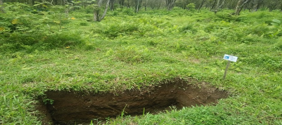 200 Lahan RORAK Dapat Dimonitoring Menggunakan Aplikasi Digilal Jejak ...