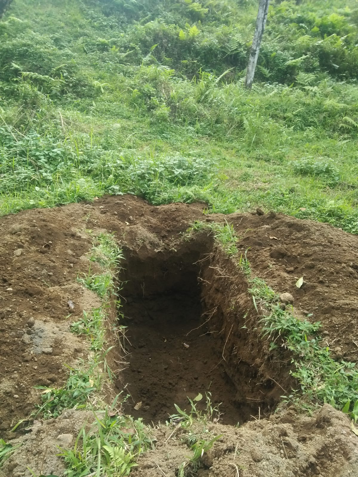 200 Lahan RORAK Dapat Dimonitoring Menggunakan Aplikasi Digilal Jejak ...